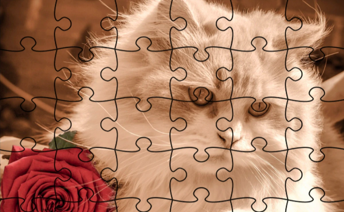 Jigsaw Puzzle: Cats Games 🎮 Play Online for Free!